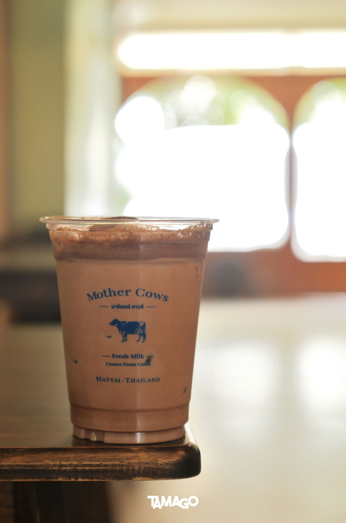 Mother Cows สาขาแรก! ร้านของแม่วัวนมกลมกล่อมจากหาดใหญ่มาเปิดย่านเมือง ...